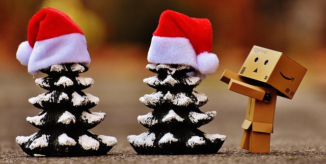 Danbo Christmas Figure Fir - Free photo on Pixabay
