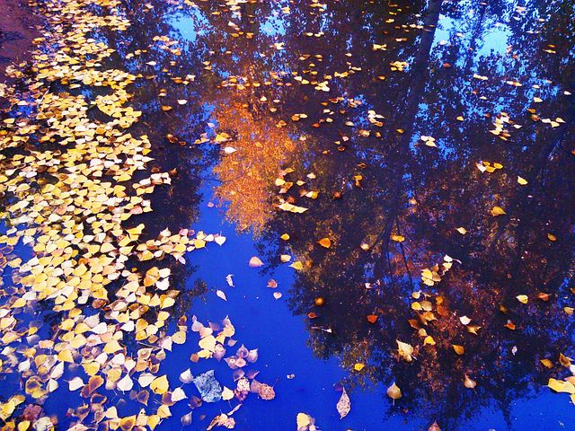 Plus de 100 images de Reflet Dans L'Eau et de Réflexion - Pixabay