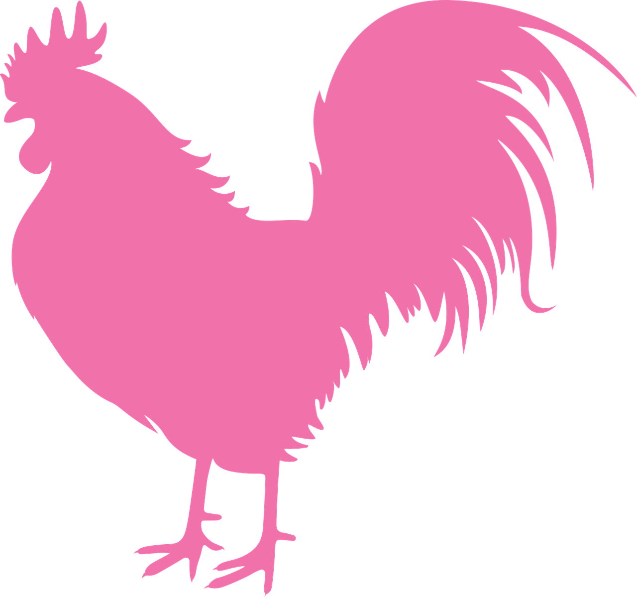 Gallo Vectores De Año Nuevo Gráficos Vectoriales Gratis En Pixabay Pixabay