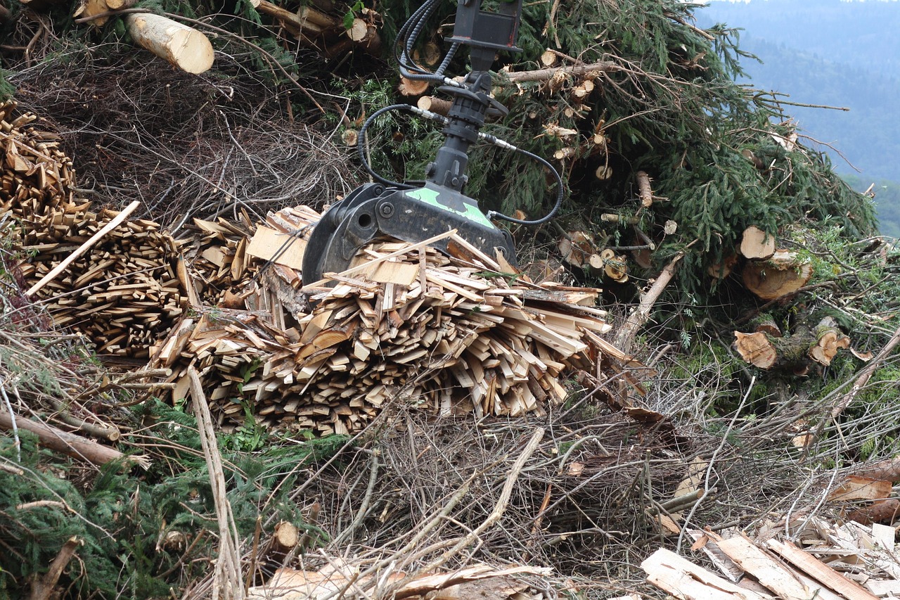 30+ Free Biomass & Biofuel Images - Pixabay