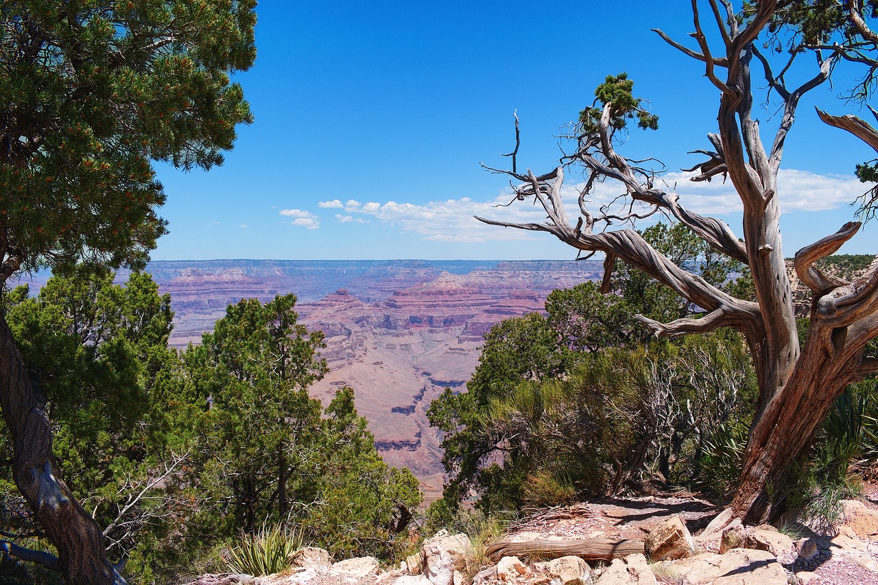Grand Canyon Landscape Mountains - Free photo on Pixabay - Pixabay