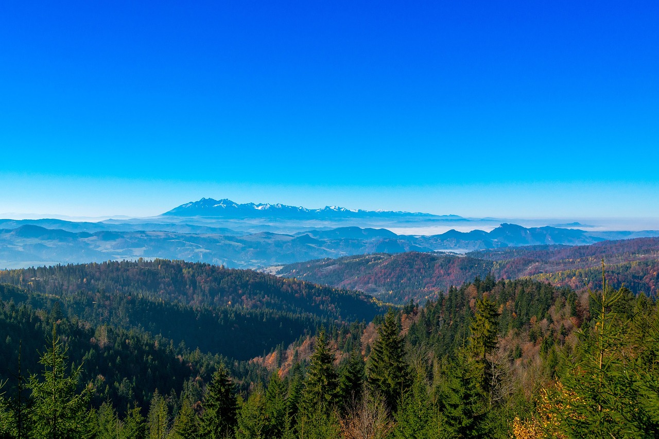 The Top Of Sun Holiday Clouds - Free photo on Pixabay