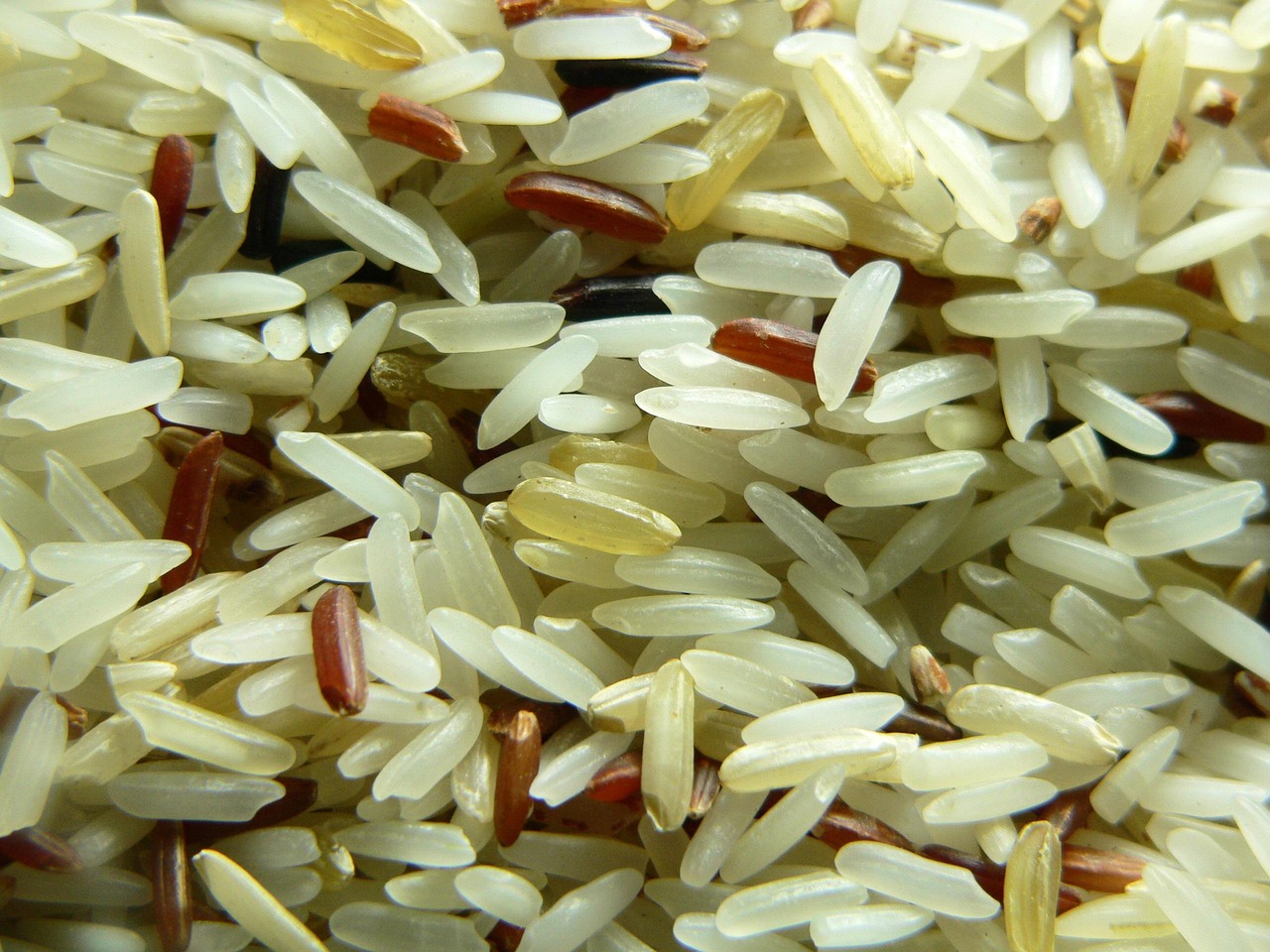 Arroz Semilla Comida - Foto gratis en Pixabay - Pixabay