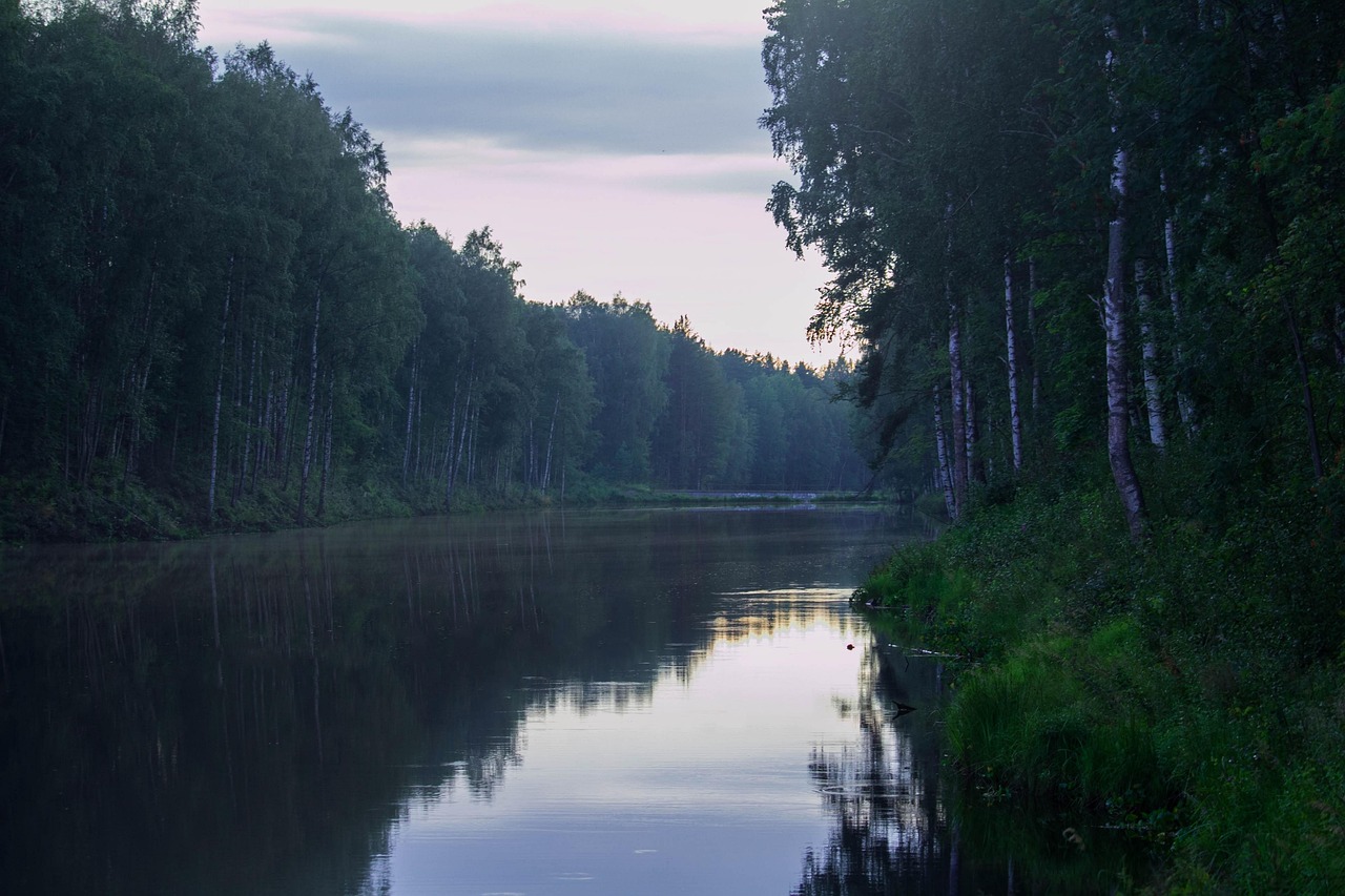 La Nature Paysage L'Été - Photo gratuite sur Pixabay - Pixabay