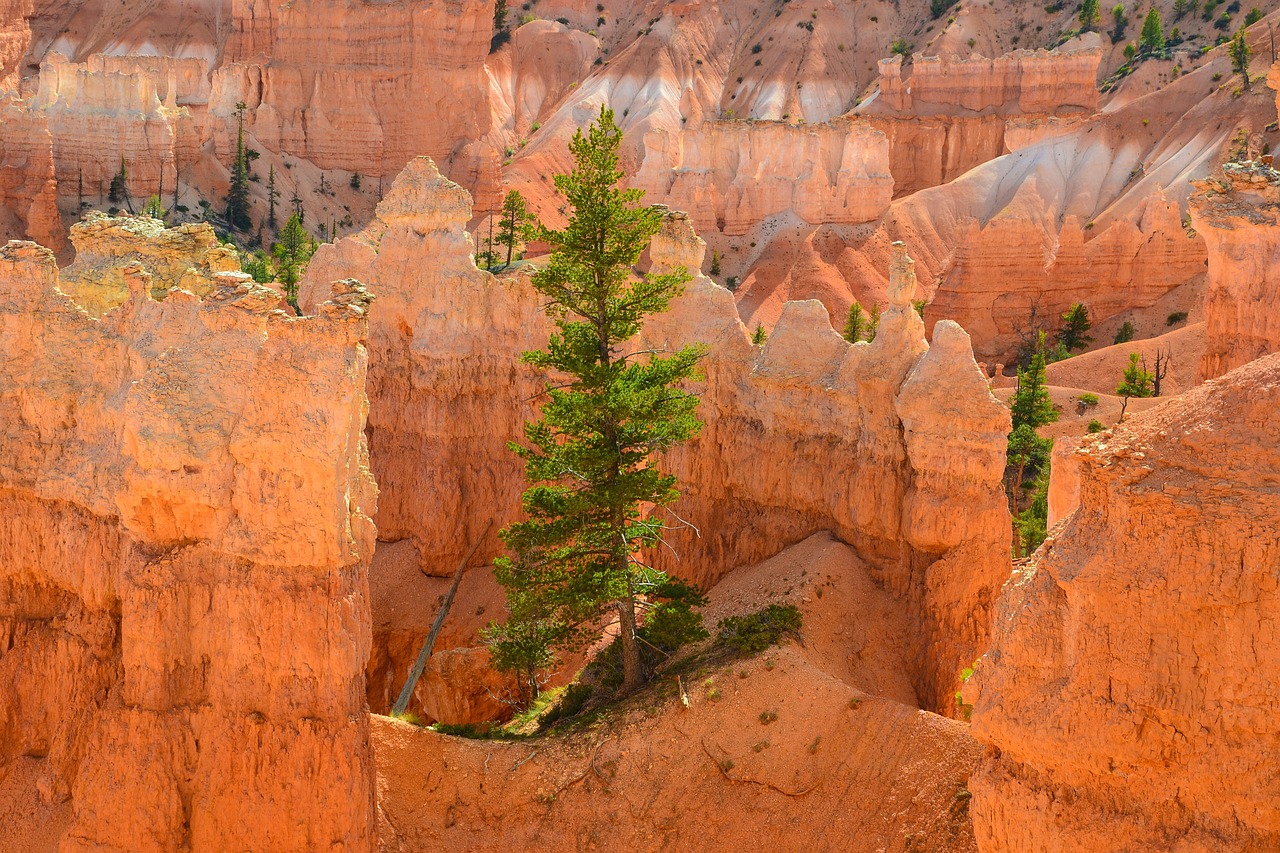 Bryce Canyon Utah Rainbows Double - Free photo on Pixabay
