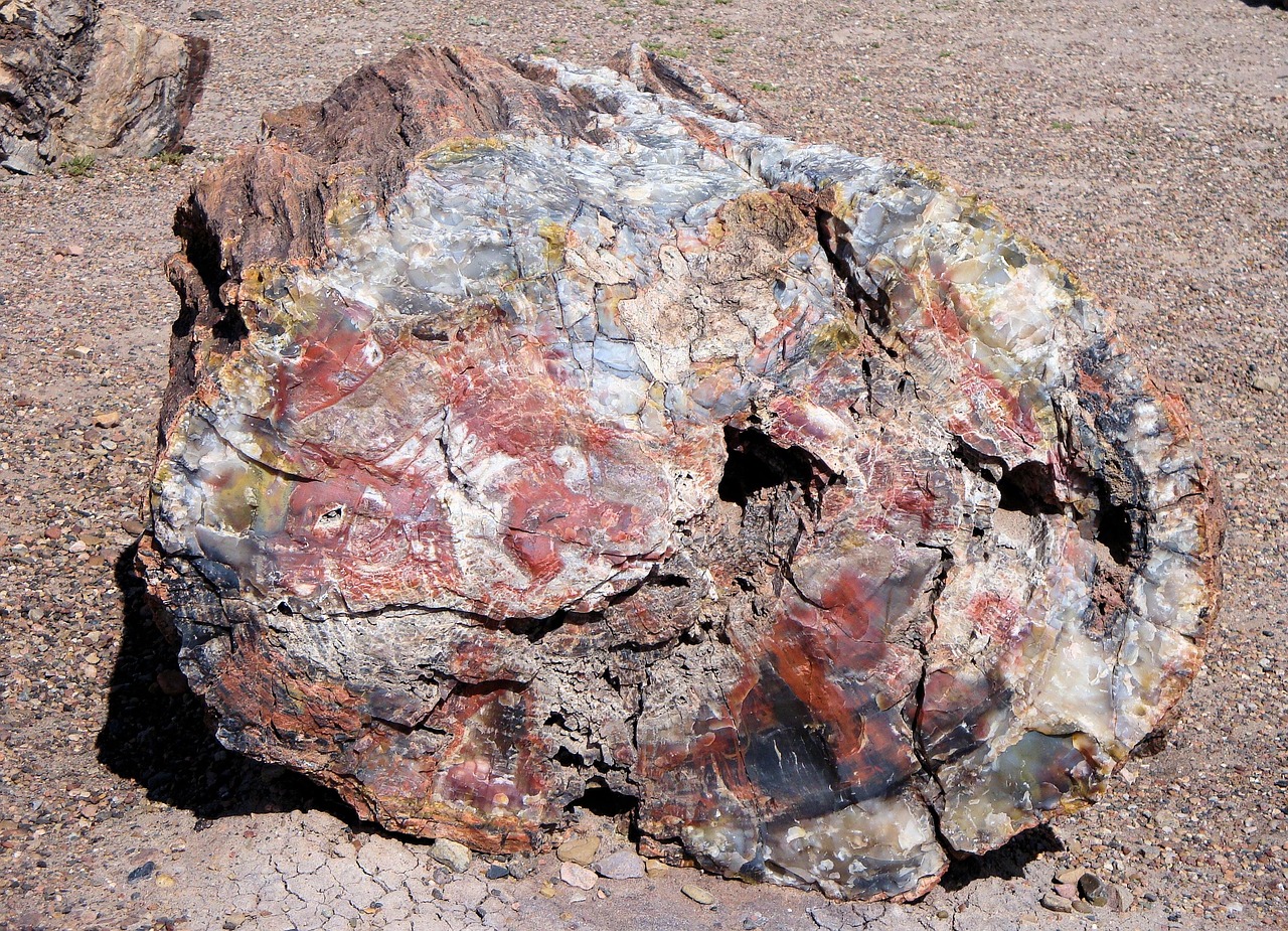 Petrified Forest National Park - Free photo on Pixabay