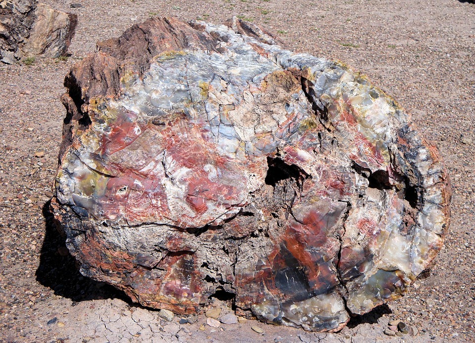 Petrified Forest National Park - Free photo on Pixabay