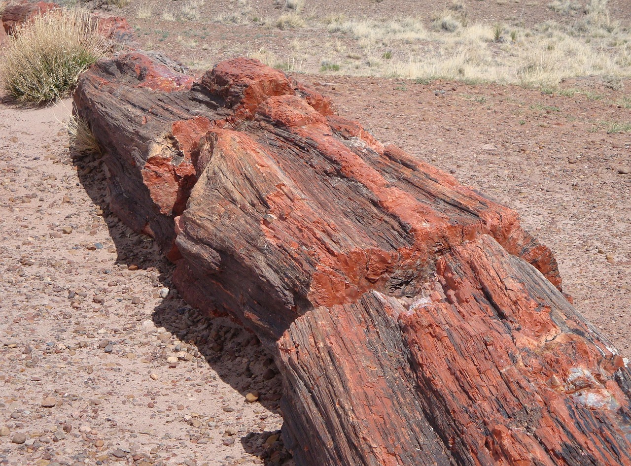 Petrified Forest National Park - Free photo on Pixabay - Pixabay