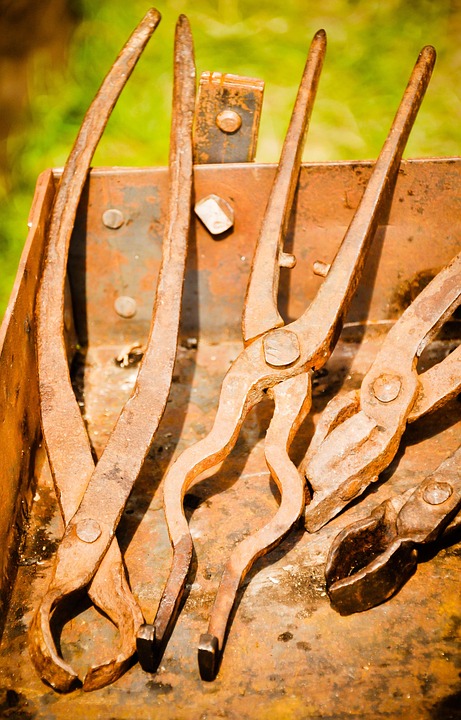 Torture Tools Needle Nose Pliers - Free photo on Pixabay - Pixabay