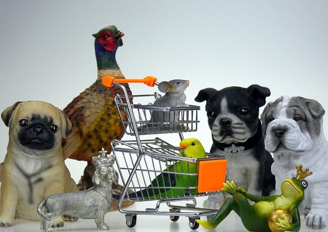 Shopping Shop Animal Feed - Free photo on Pixabay