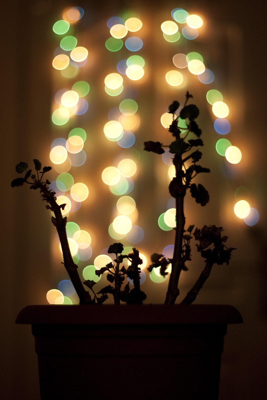 Bokeh Light Coloring Sardinia - Free photo on Pixabay