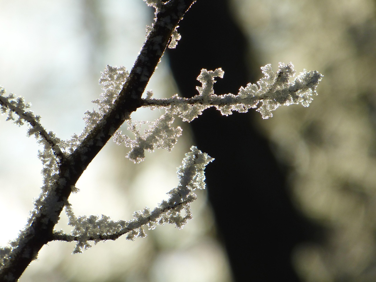 Plugged Gel Frost - Free photo on Pixabay - Pixabay