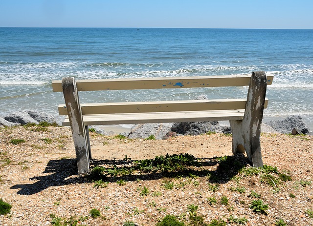 Bench Seat Beach View - Free photo on Pixabay