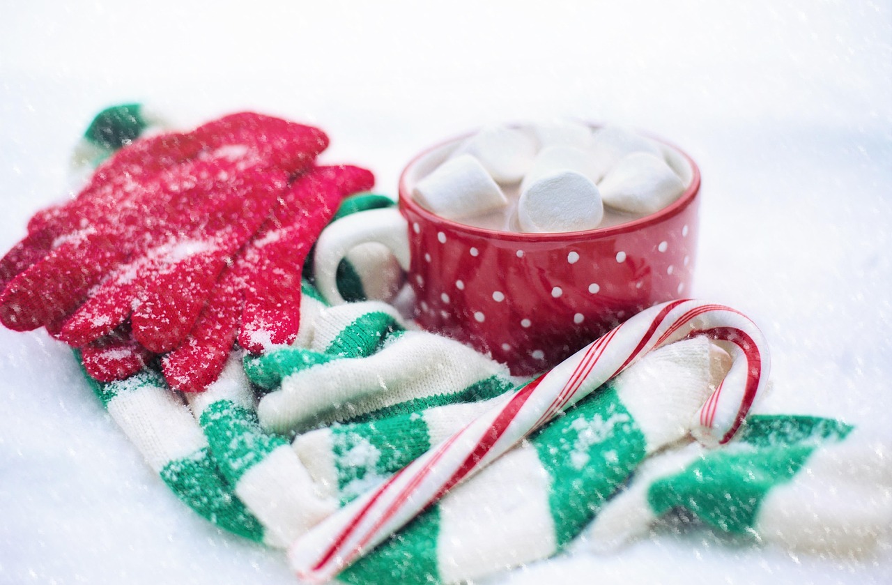 Hot Chocolate Snow Winter - Free photo on Pixabay - Pixabay