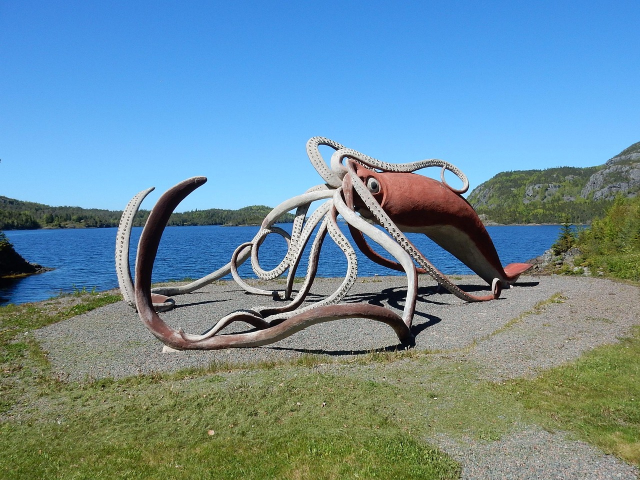 4,000+ Free Giant Squid & Squid Images - Pixabay