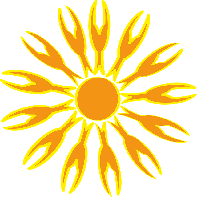 30,000+ Free Sun Texture & Nature Images - Pixabay