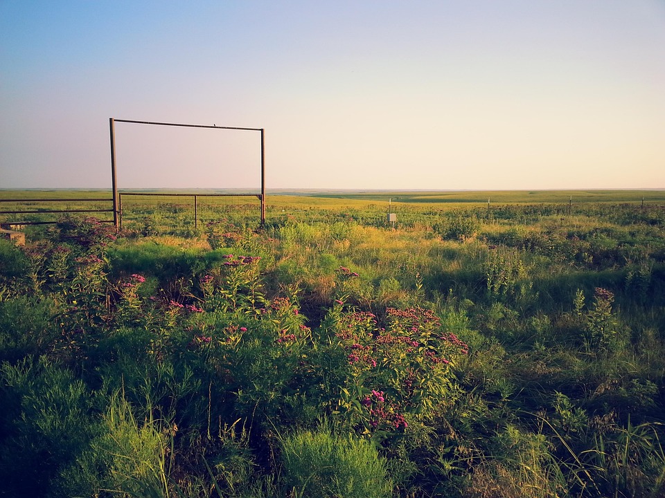 Kansas Prairie Nature - Free photo on Pixabay