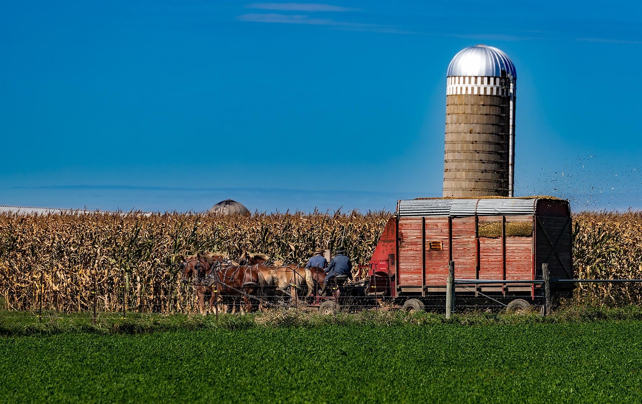 Amish Indiana Old Fashioned Free Photo On Pixabay Pixabay