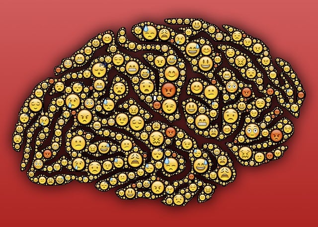 40+ Free Cerebrum & Brain Images - Pixabay