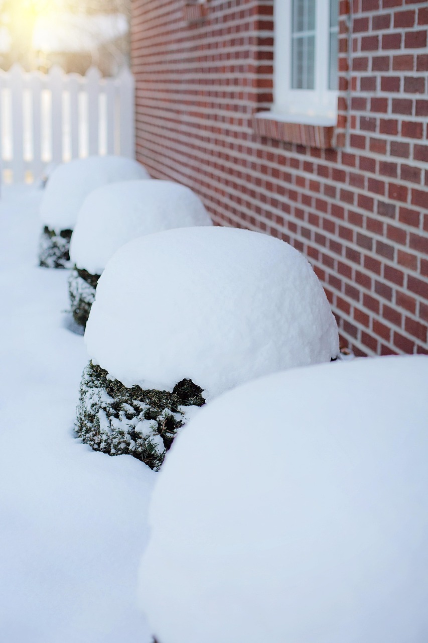 20,000+ Free Heavy Snow & Winter Images - Pixabay