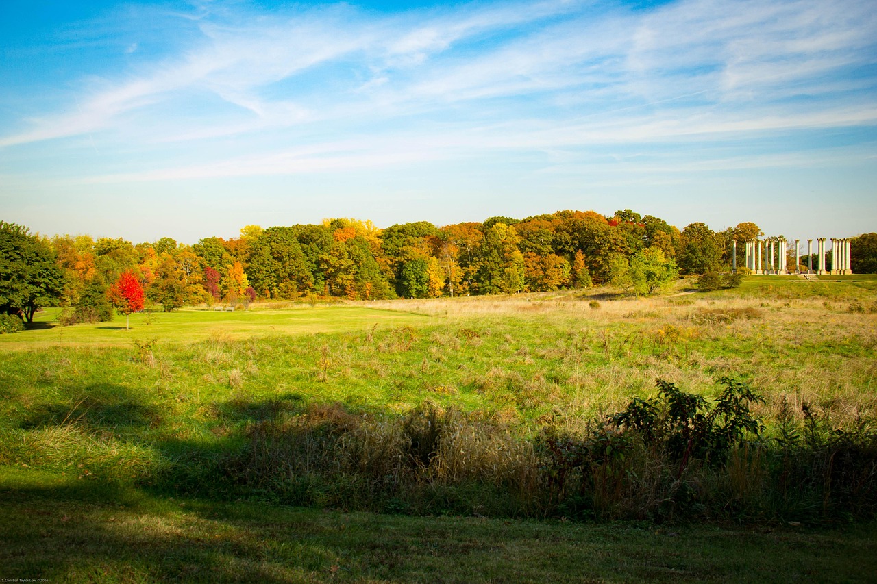 National Arboretum Foliage Fall - Free photo on Pixabay - Pixabay