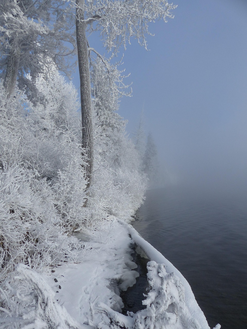 Winter Season Snow - Free photo on Pixabay - Pixabay