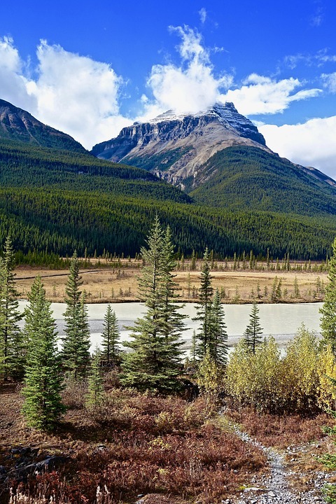 Landscape Wild Wilderness - Free photo on Pixabay