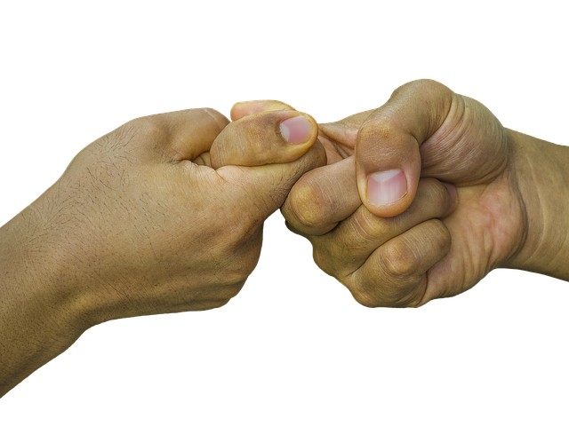 Mano Assumpsit De Acuerdo - Imagen gratis en Pixabay - Pixabay