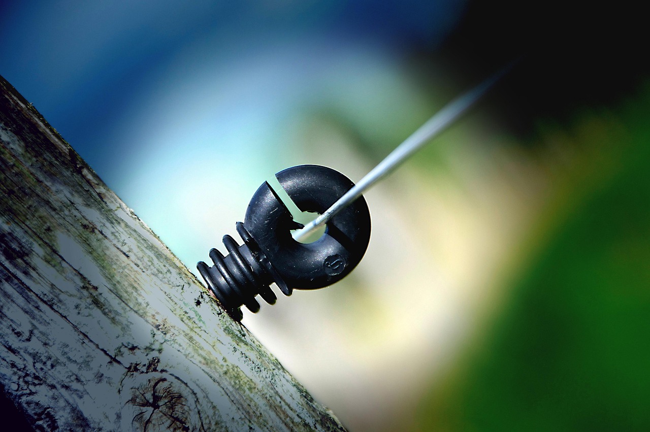 Insulator Eyelet Pasture Fence - Free photo on Pixabay - Pixabay