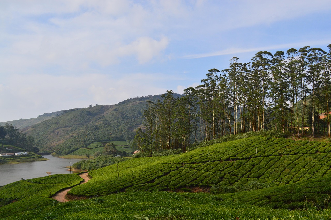 2+ Free Meghamalai & Hill Station Images - Pixabay