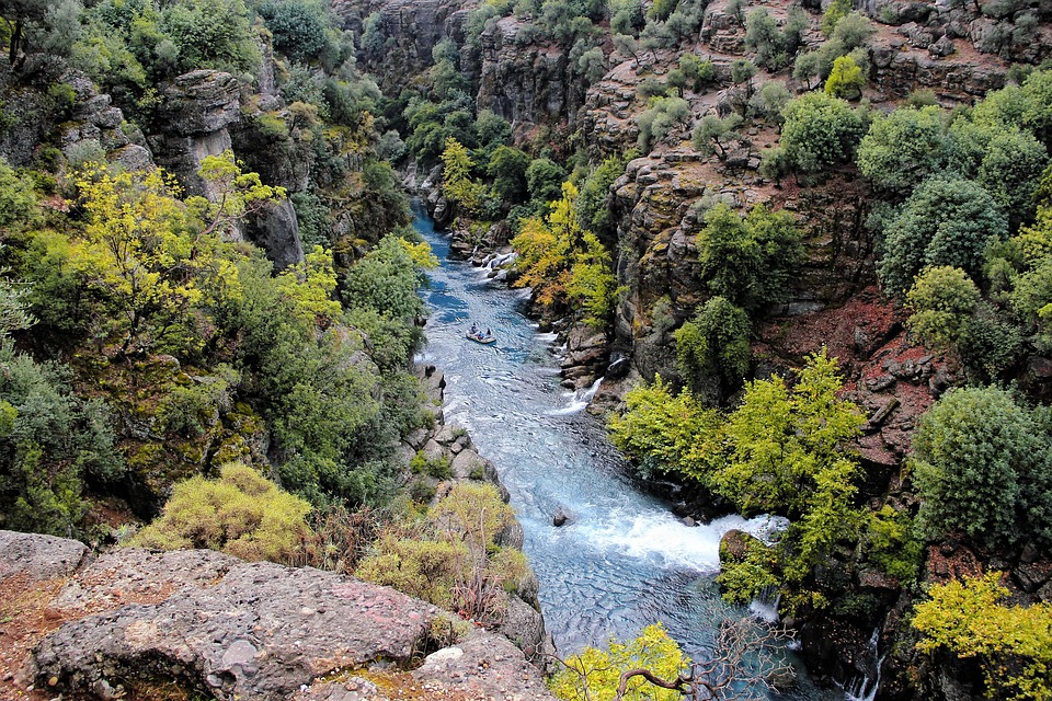 Nature Canyon Forest - Free photo on Pixabay - Pixabay