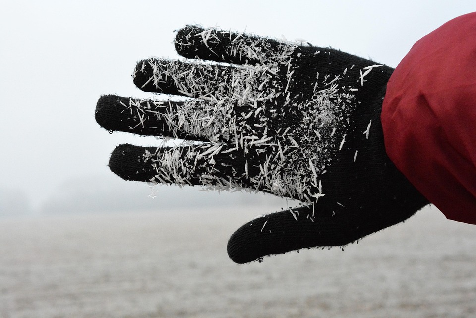 Winter Hand Frost - Free photo on Pixabay - Pixabay