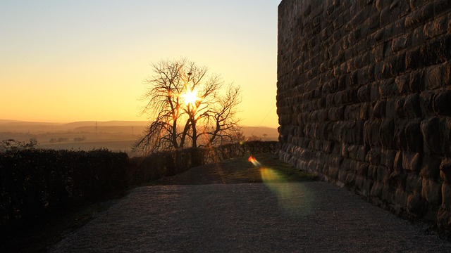 Sol Árbol Roca - Foto gratis en Pixabay - Pixabay