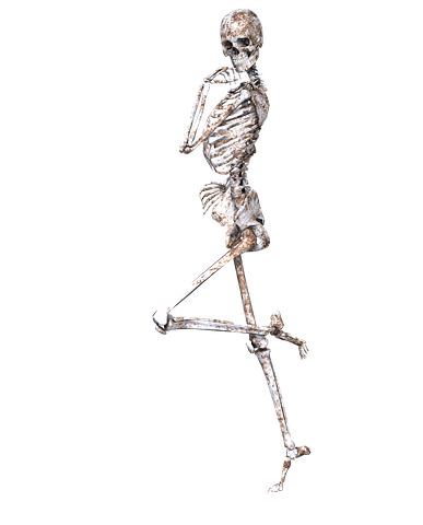 2,000+ Free Skeleton Pictures in HD - Pixabay