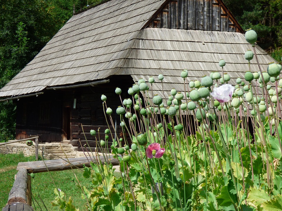 Cottage Slovakia Summer - Free photo on Pixabay - Pixabay