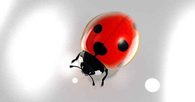 Download Happiness, Lucky Bug, 3D Wallpapers. Royalty-Free Stock ...