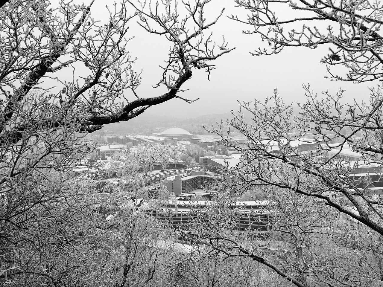 Brno Winter Frost Black And - Free photo on Pixabay - Pixabay Brno Winter Frost Black And - Free photo on Pixabay - Pixabay