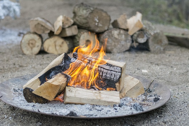 Fire Campfire Burn - Free photo on Pixabay