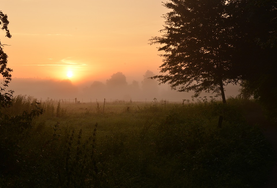 Sunrise Morning Mood - Free photo on Pixabay - Pixabay