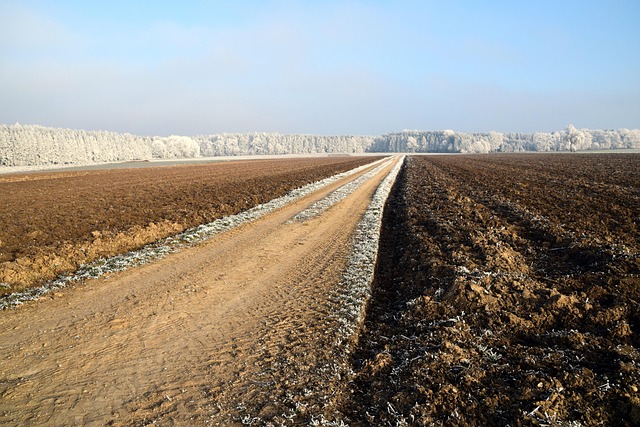 Path Dirt Road Landscape - Free photo on Pixabay - Pixabay