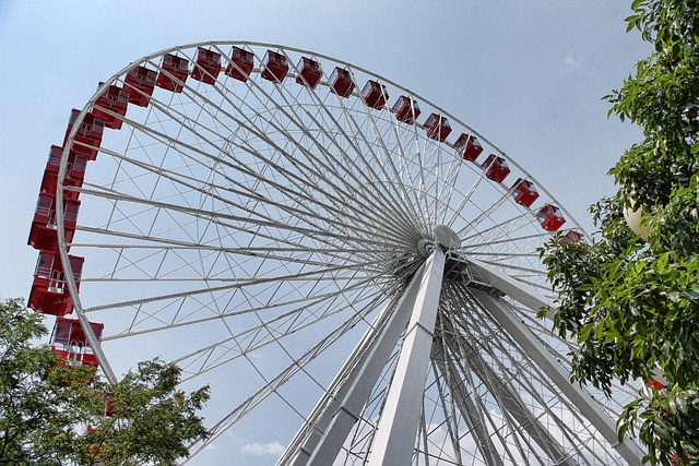 Rueda De La Fortuna Chicago Ferris - Foto gratis en Pixabay - Pixabay