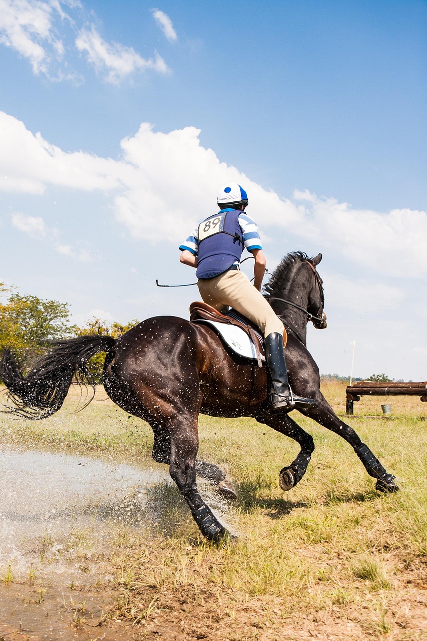 Horse And Rider Cornering At Speed - Free photo on Pixabay - Pixabay