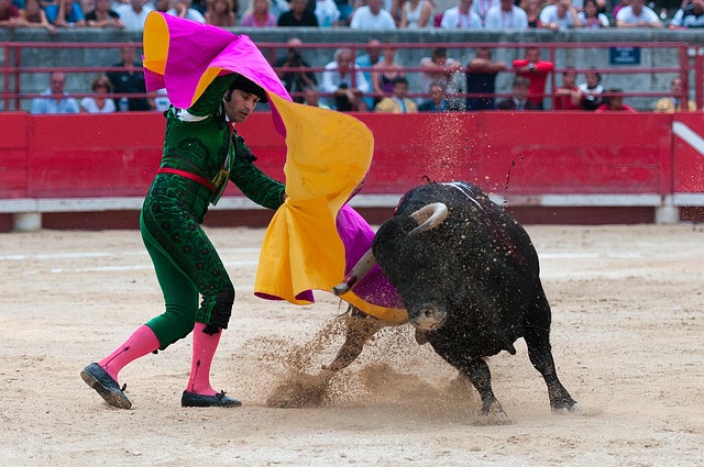 Bullfight Toreador Arenas - Free photo on Pixabay