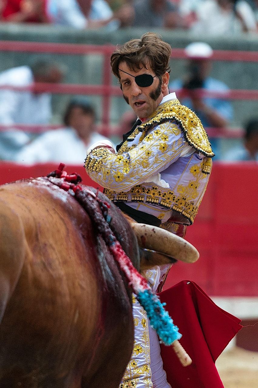 Bullfight Toreador Bulls - Free photo on Pixabay - Pixabay