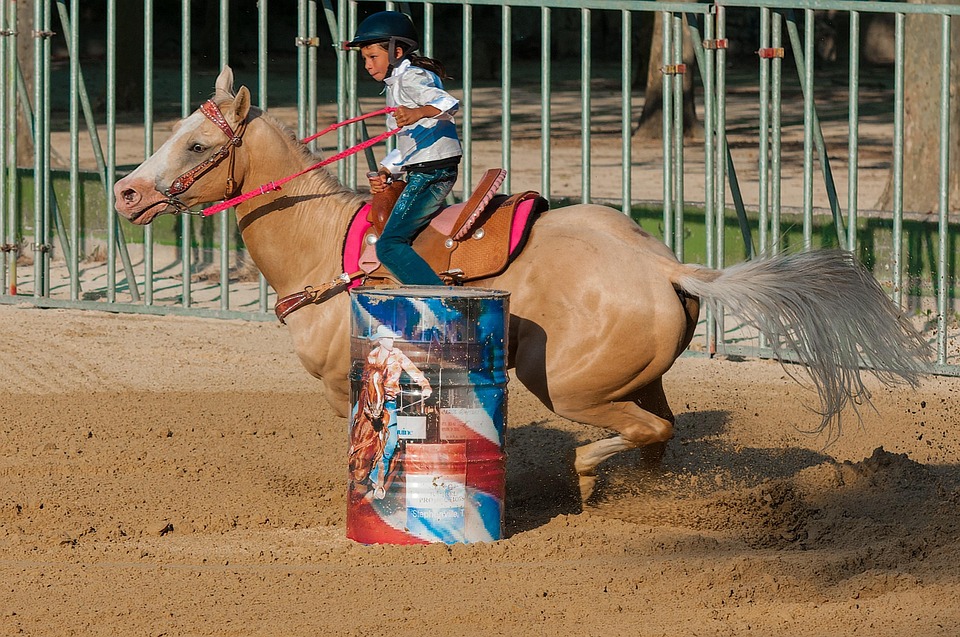 Horse Barrel Riding - Free photo on Pixabay - Pixabay