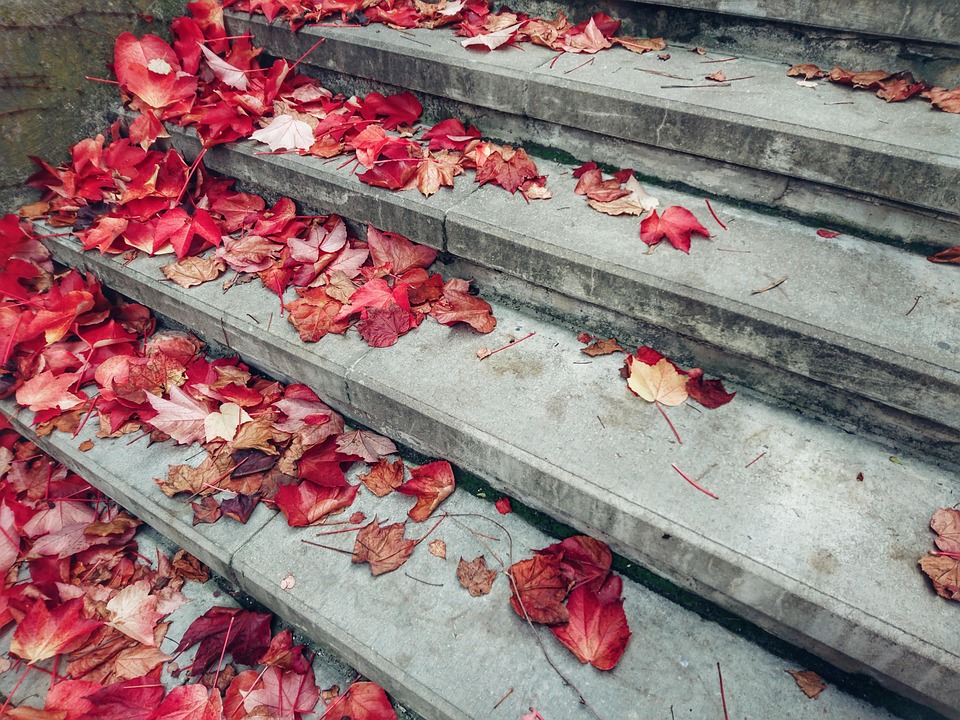 Stairs Fall Leaves - Free photo on Pixabay - Pixabay