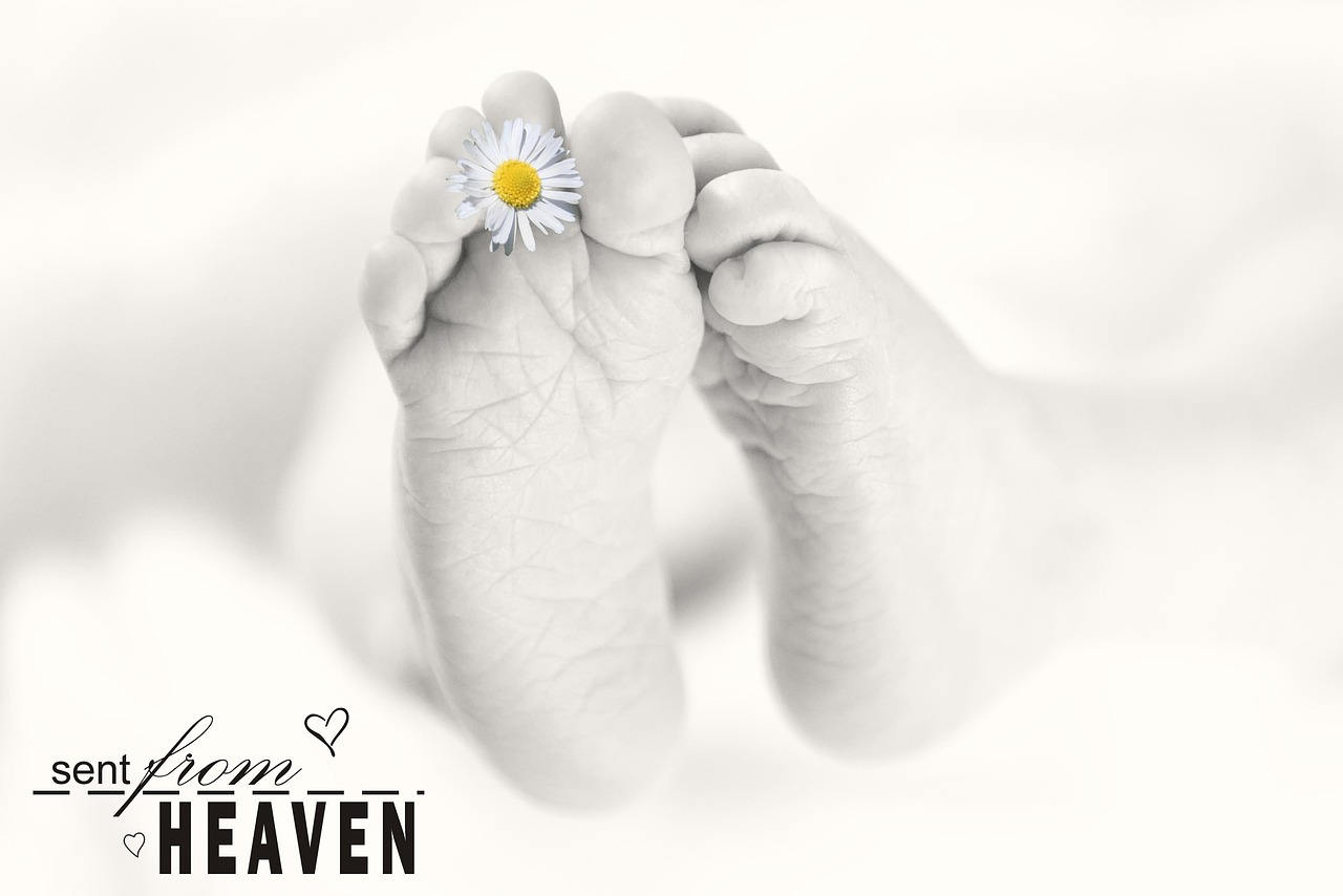 10,000+ Free Baby Feet & Baby Images - Pixabay
