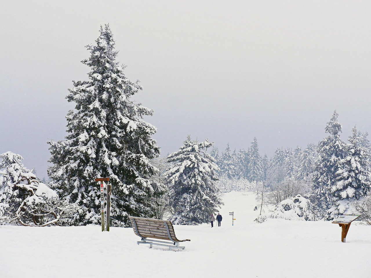 Winter Hike Hochsauerland Bare - Free photo on Pixabay - Pixabay