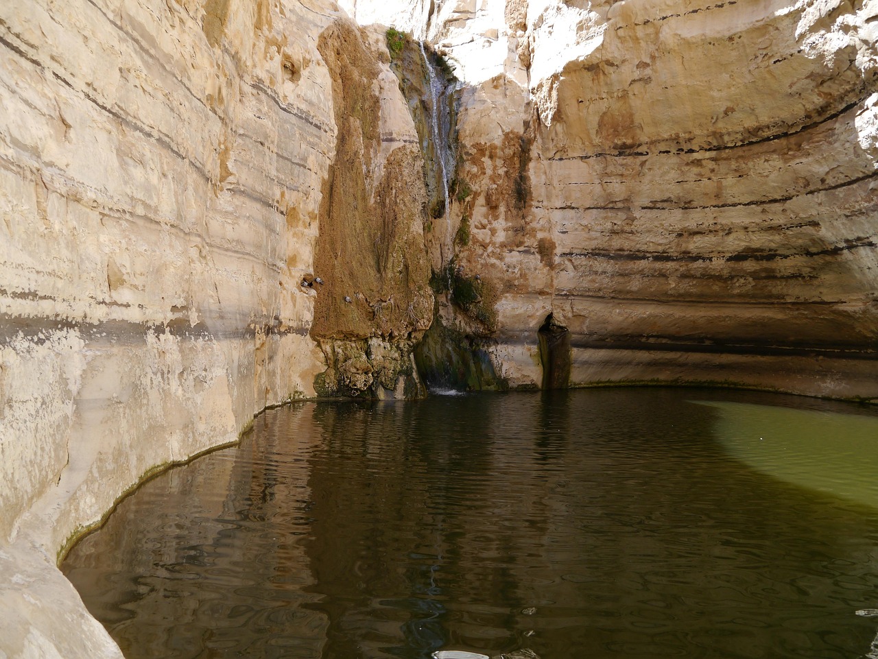Negev Israel Desert - Free photo on Pixabay