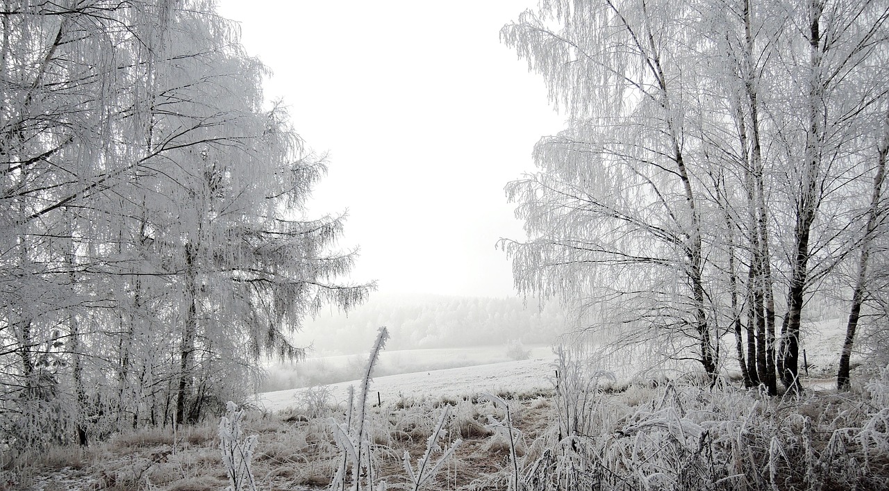 Winter Country View - Free photo on Pixabay - Pixabay